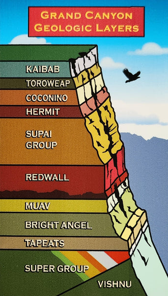 Grand Canyon Rock Layers Vinyl Decal – Grand Canyon Conservancy Store